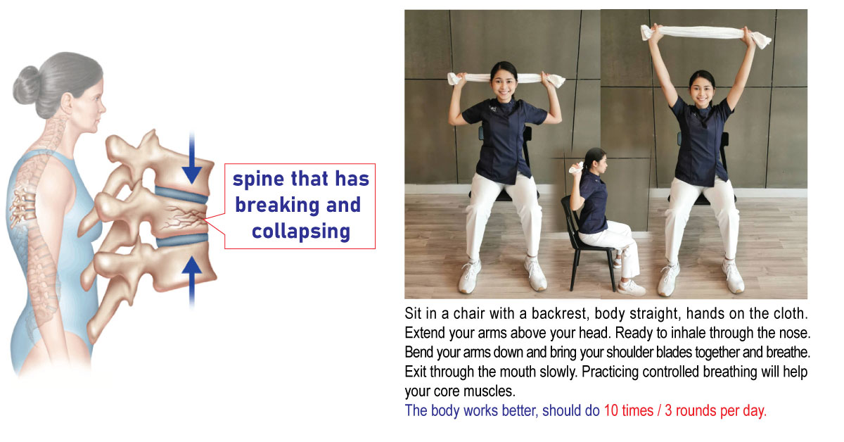 Collapsed spine - MATSUNAGA THAILAND - Wheelchair for rent